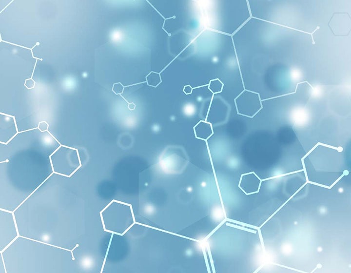 Versatile bio-based binders