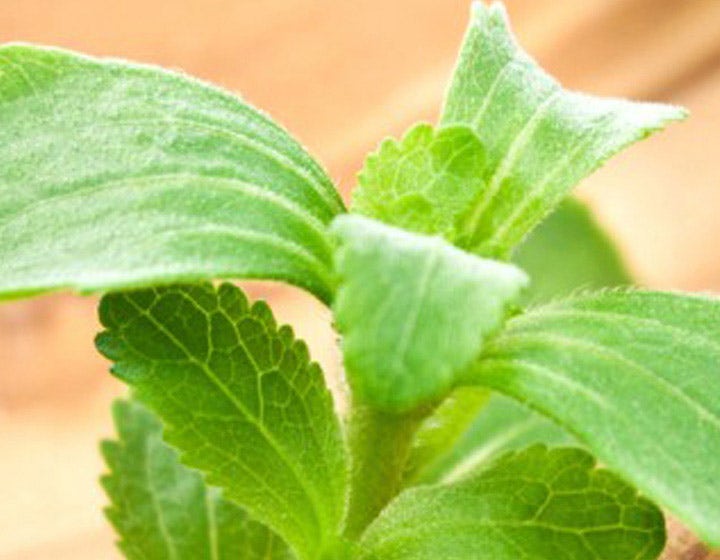 Benefits of stevia